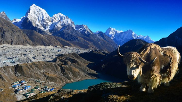 Gokyo Lakes Trek | 12 Days Gokyo Valley & Gokyo Ri Trek, Nepal